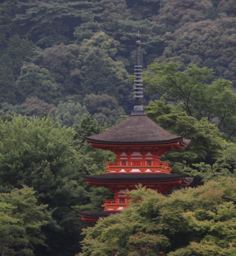 The Goshuincho Stamp Book: Japan’s Honorable Artwork - AMcSTravel