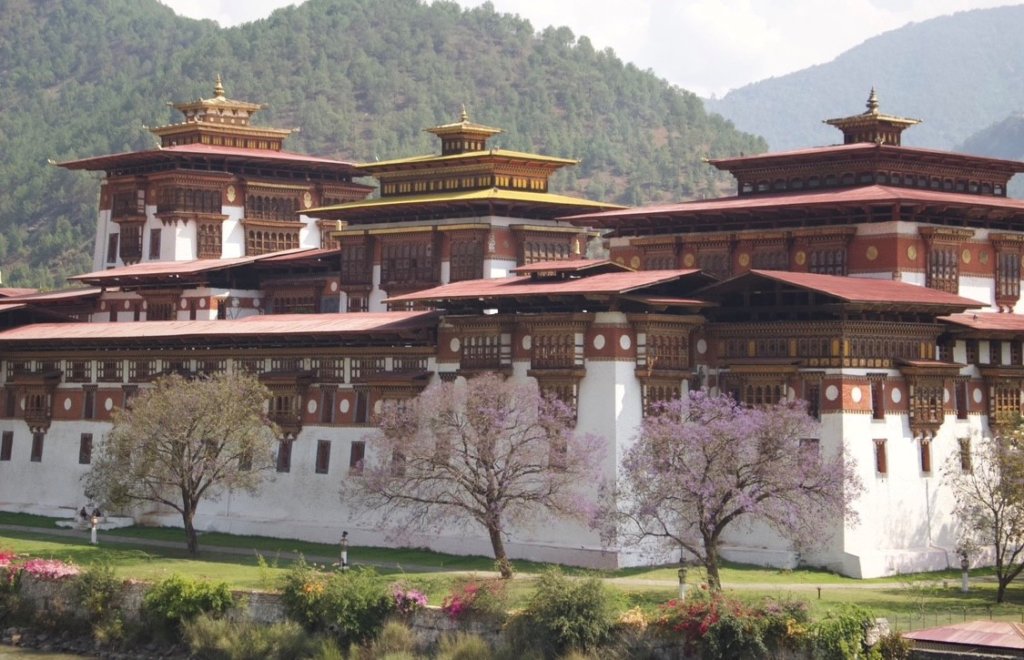Night Hunting: A Different Side of Bhutan - AMcSTravel